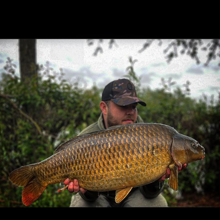 Manor common | Total Carp